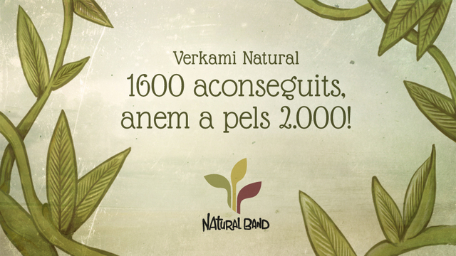 Natural, publicación primer álbum Natural Band — Verkami