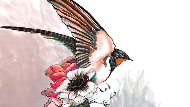 Defying Gravity — Verkami